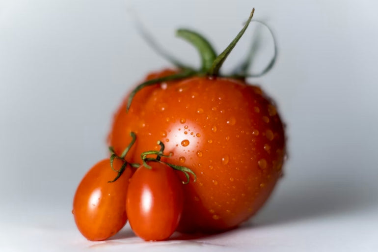 Oliagua — Traditional Menorcan Tomato Soup Recipe | Spanish Gastro Larder